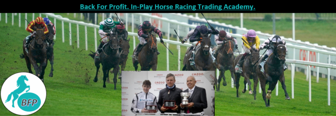 Back For Profit – Inplay Horse Racing Trading Academy and Mentorship